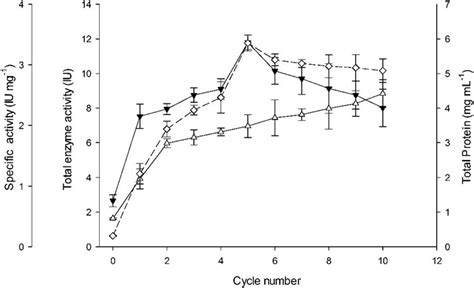 Variation Of Enzyme Specific Activity Total Enzyme Activity And