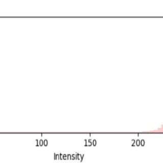 Detection Output In The X Ray Images Download Scientific Diagram