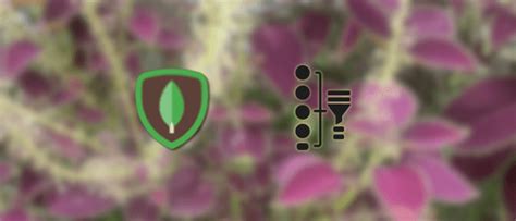 Mongodb Aggregation Pipeline Tutorial With Real World Examples