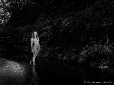 Nisene Forest Artistic Nude Photo By Photographer Environmentalnudes At Model Society