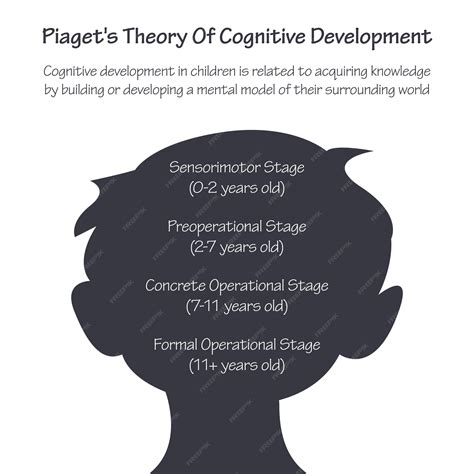 A Teoria Do Desenvolvimento Cognitivo De Piaget Vetor Infográfico