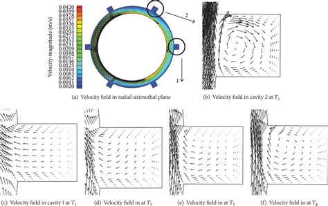 Velocity Field In Radial Azimuthal Plane Download Scientific Diagram