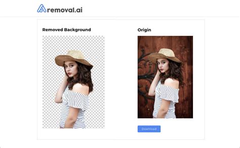 Top 10 Free Online Background Remover Tools Removal AI