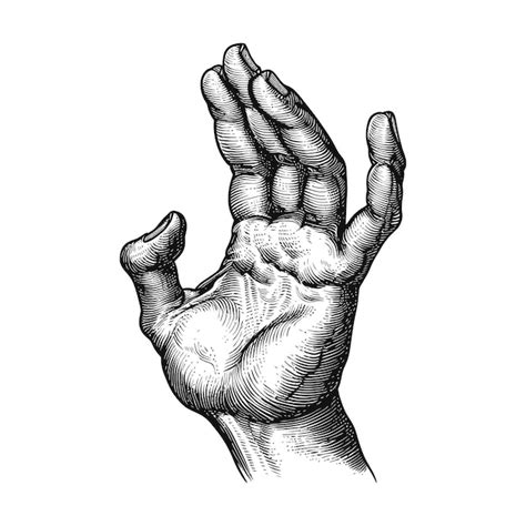 Open Hand Drawing Ref