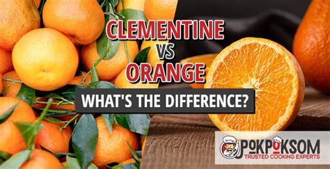 Clementine Vs Orange Whats The Difference