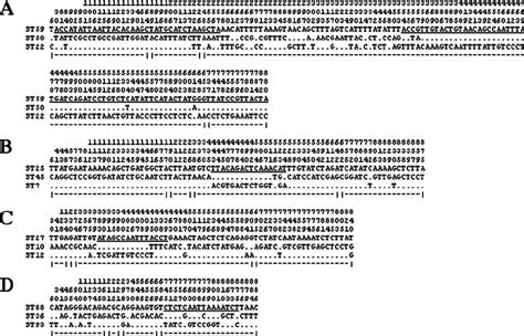 alignment of polymorphic nucleotide sites from third codon positions