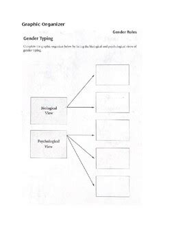 Psychology Gender Roles Gender Typing Graphic Organizer TPT