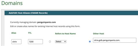 Howto Configure Network Solutions Dns For Gslb On Citrix Adc Netscaler