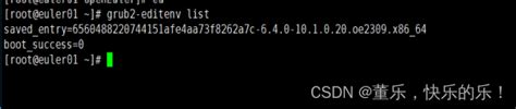 你好，openeuler （十、openeuler启动管理）openeuler 开机启动 Csdn博客