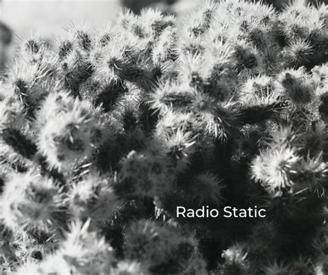 RADIO Bi National Experimental Music The Focus Of Radio Static Show City Times