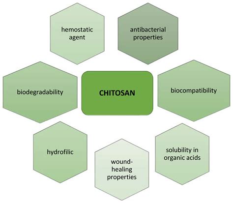 Biomaterials Based On Chitosan And Its Derivatives And Their Potential In Tissue Engineering And