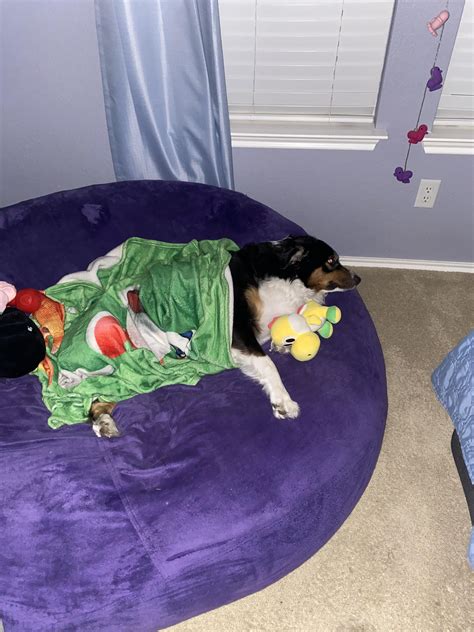 These Are My Wbs R Wigglebutts