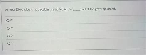 Solved As New Dna Is Built Nucleotides Are Added To The