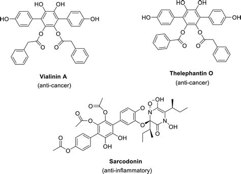 Reported Natural Terphenyls Download Scientific Diagram