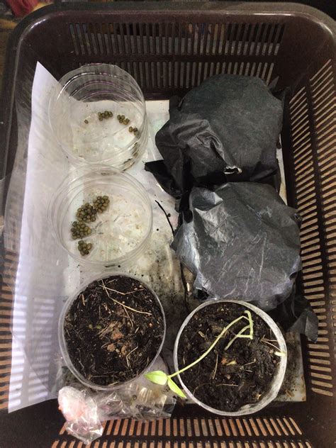 สื่อใบงานวิทยาศาสตร์ By Kruchu