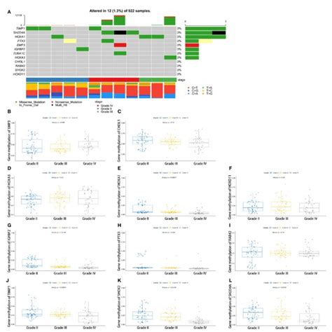 Wgcna Network And Module Detection A Selection Of The Download Scientific Diagram