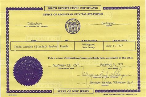 How To Get A Nj Business Registration Certificate Tabitha Corral S Templates