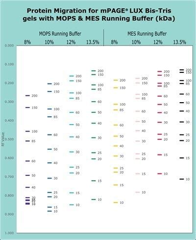 Can You Reuse Sds Page Running Buffer Infoupdate Org