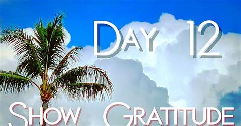 Habits For Happiness Day 12 Backtracking To Catch Up Album On Imgur