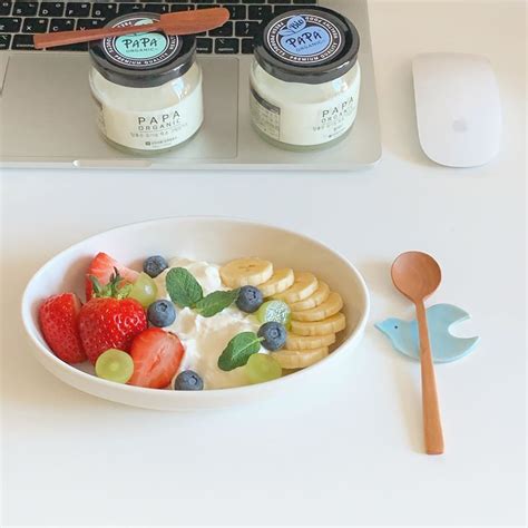 과일요거트와 크림치즈같이 꾸덕한 그릭요거트 레시피