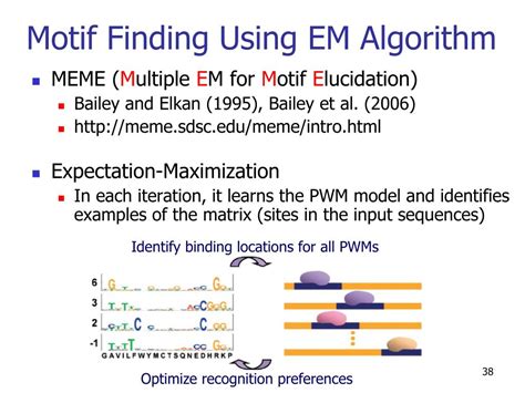 ppt regulatory motif finding powerpoint presentation free download