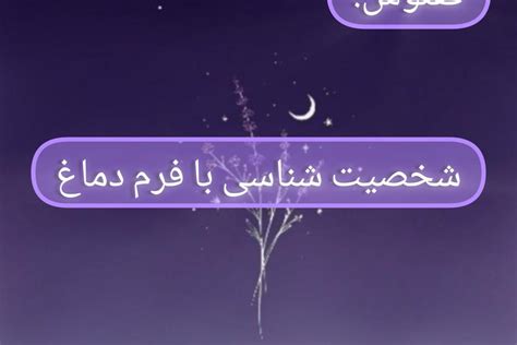 شخصیت شناسی توسط فرم دماغ تستچی