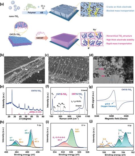 Morphology And Structure Characterizations Of Cnt S‐tio2 A The Download Scientific Diagram