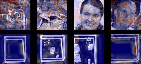 visualizing the focus on different datasets top common datasets