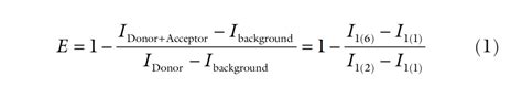 flow cytometric fret analysis of protein interaction protocol