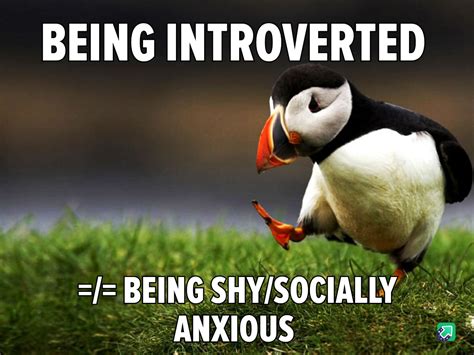 Im An Introvert Album On Imgur