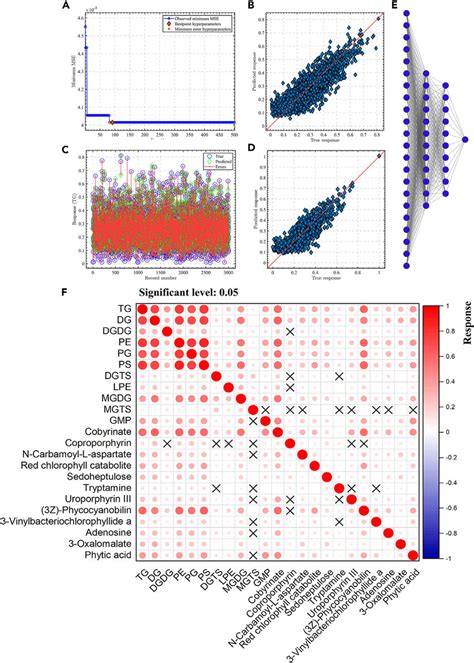 The Construction Of Metabolic Model At Single Cell Level A