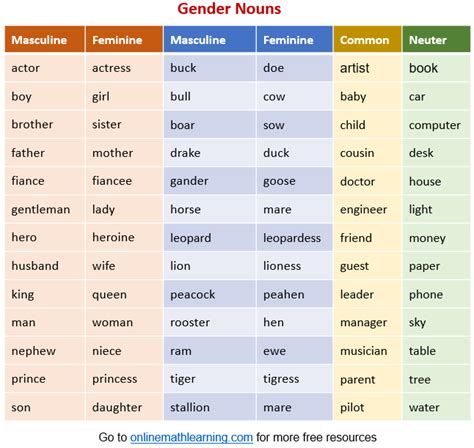 Gender Nouns Video Lessons Examples Explanations