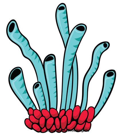 Underwater Plant Cartoon