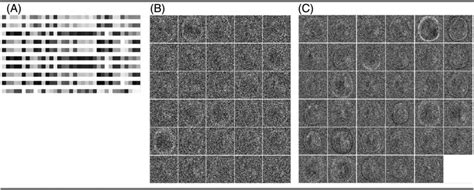 Visualization Of The Weights After Fine Tuning A 10 B 30 And C Download Scientific