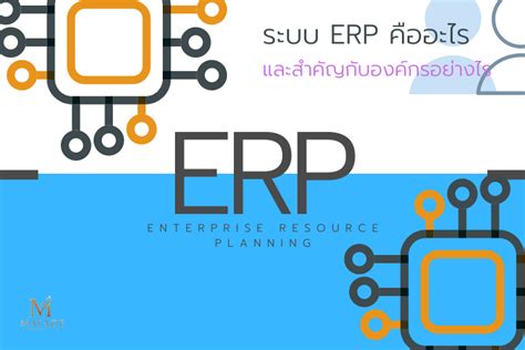 ระบบ Erp คืออะไร และสำคัญกับองค์กรอย่างไร Mayade