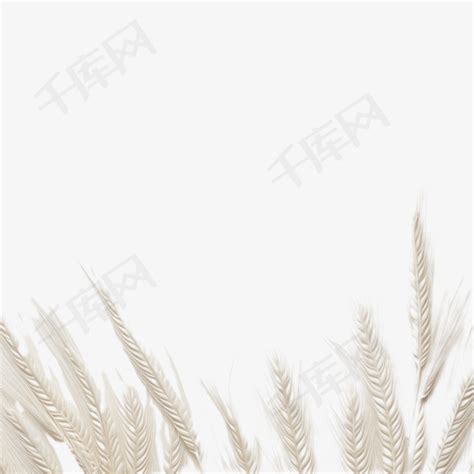 逼真的纸纹纹理素材图片免费下载 千库网