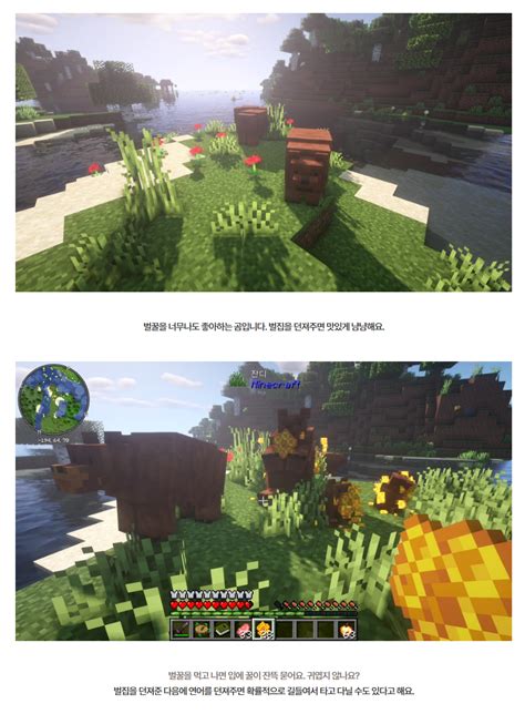 로에 공지 로에와 알로에의 마인크래프트 시참 콘텐츠 알로에 밀렵단 숲soop 에펨코리아