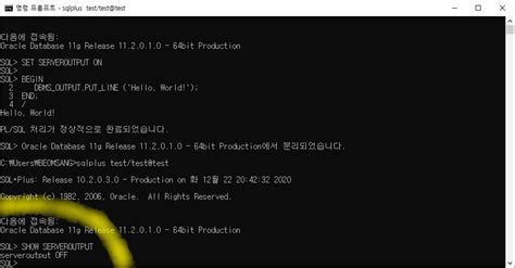 Plsql의 시작 Hello World 출력해보기 범상치 않은 블로그