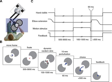 Figure 1 From Deliberation In The Motor System Reflex Gains Track