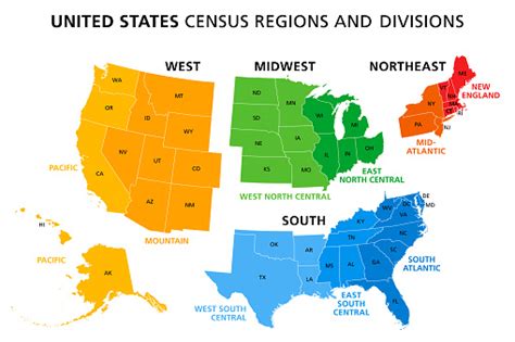 Map Of United States Split Into Census Regions And Divisions Stock Illustration Download Image