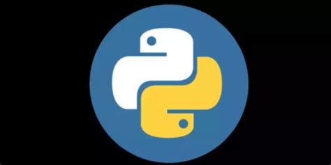 Java Vs Python какой язык лучше Deveducation