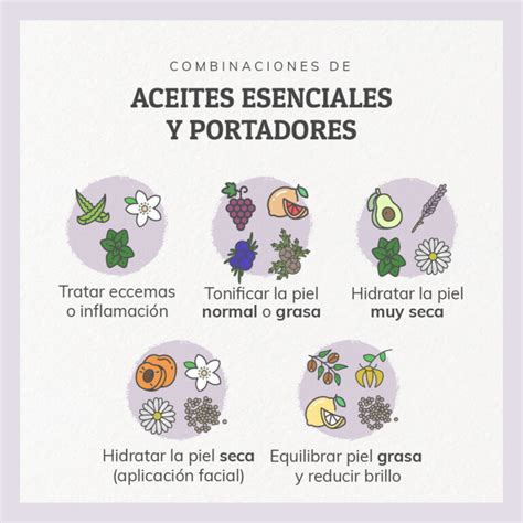 Diferencia Entre Cromátidas Hermanas Y No Hermanas Pediaexpertos