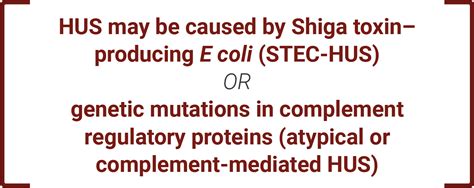 Identifying Ttp Among Thrombotic Microangiopathies Tmas