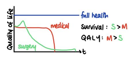 Public Health And Resource Allocation Flashcards Quizlet