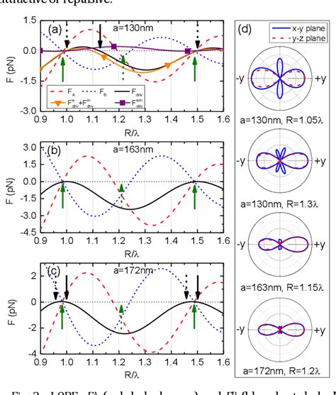 Figure 3 From Asymmetric Longitudinal Optical Binding Force Between Two