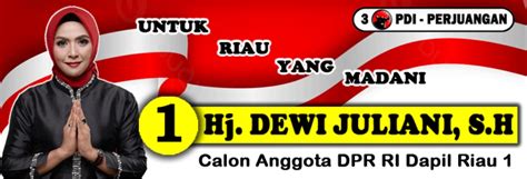 Pencemaran Udara Dewi Juliani Dorong Pemanfaatan Energi Terbarukan