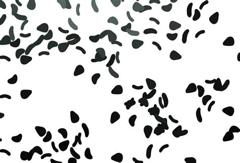 Light Black Vector Texture With Random Forms 16211221 Vector Art At Vecteezy