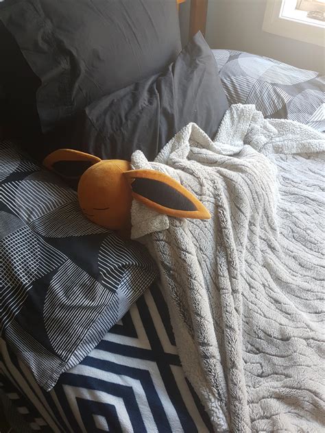 Help Theres An Eevee Sleeping In My Bed R Eevee
