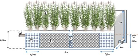 Horizontal Flow Subsurface Flow Constructed Wetland Hf Sfcw Download Scientific Diagram