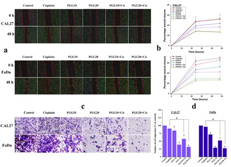 Pentagalloyl Glucose And Cisplatin Combination Treatment Exhibits A Synergistic Anticancer